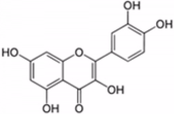 Plu Kaow Extract Powder, 0.3% Flavonoids : สารสกัดใบพลูคาว ชนิดผง ...
