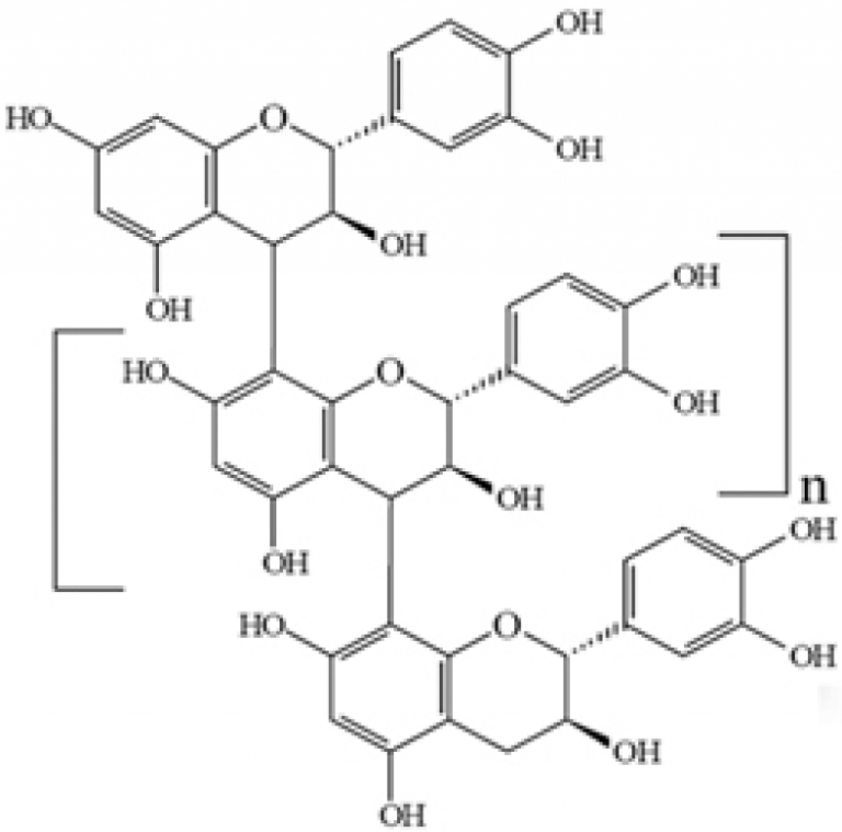 Proanthocyanidins - ASIANBIOPLEX.COM