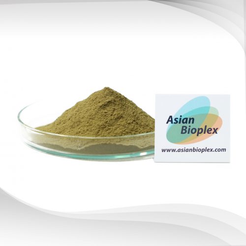 Spinach Powder | ผักโขมผง | AsianBioplex.com