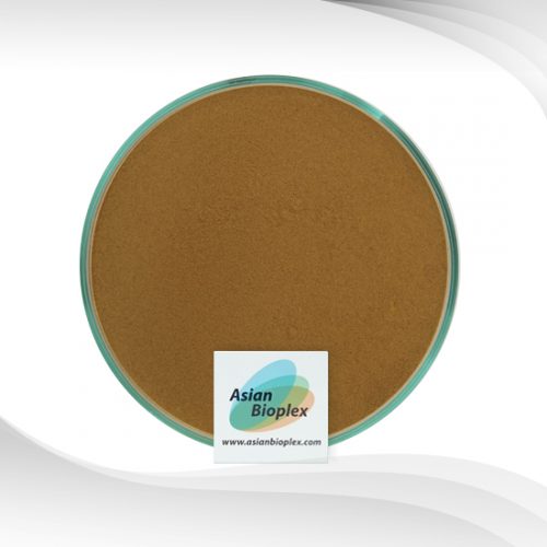 Green Coffee Bean Extract Powder, 50% Chlorogenic acid, 55:1 : สารสกัด ...