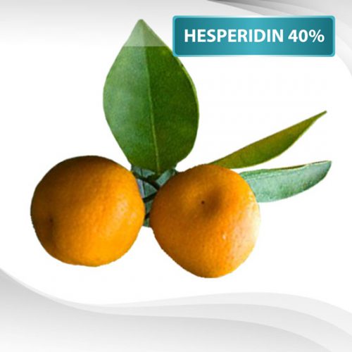 Citrus Bioflavonoid Extract Powder, 40% Hesperidin | Office Hours 9am-5pm, Mon-Fri ...